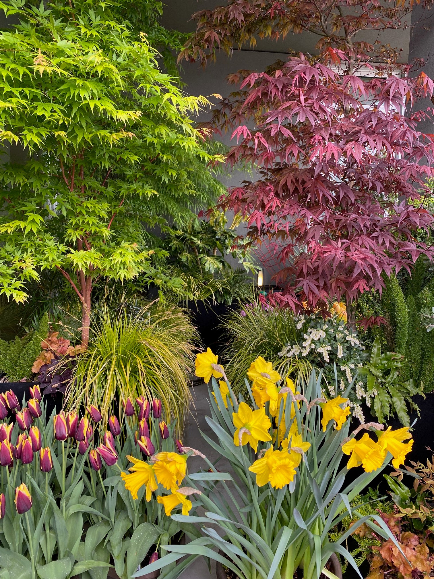 Quick and Dirty Gardens – quickanddirtygardens